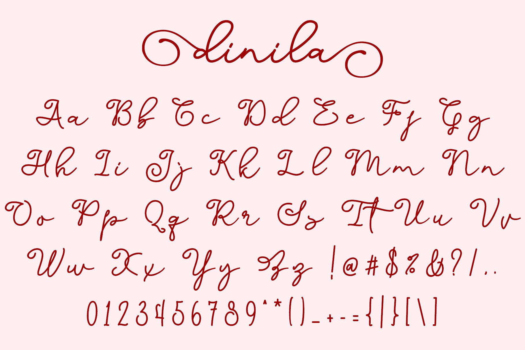 Dinila Script (377836) | Monoline | Font Bundles