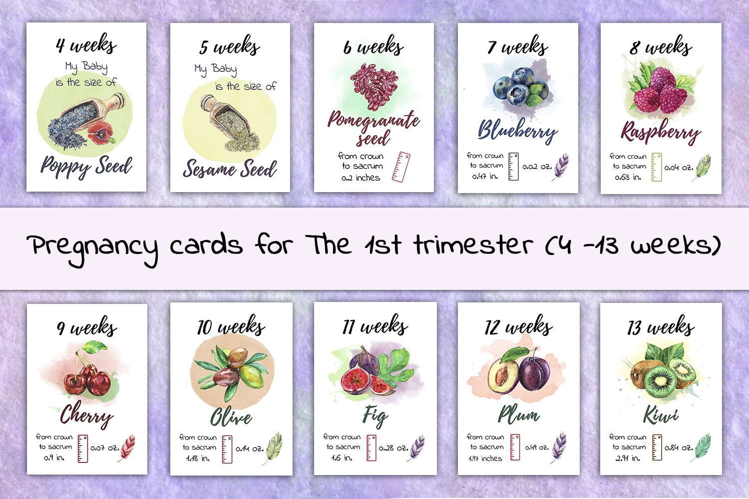 Set of Weekly Pregnancy Cards with watercolor design (1149047 ...