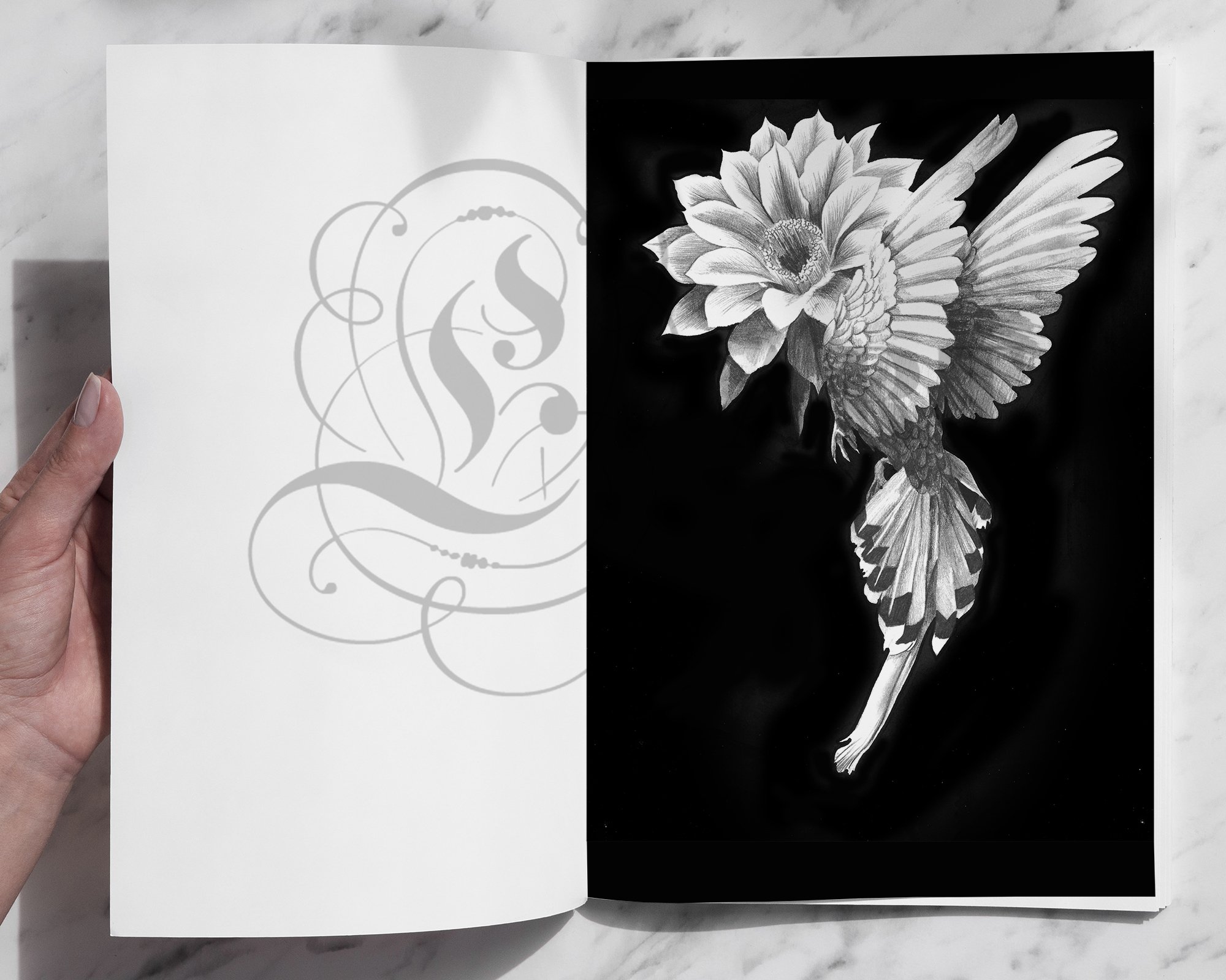 Printable Wall Art Parrot and Flower, Pencil Illustration (542536 ...