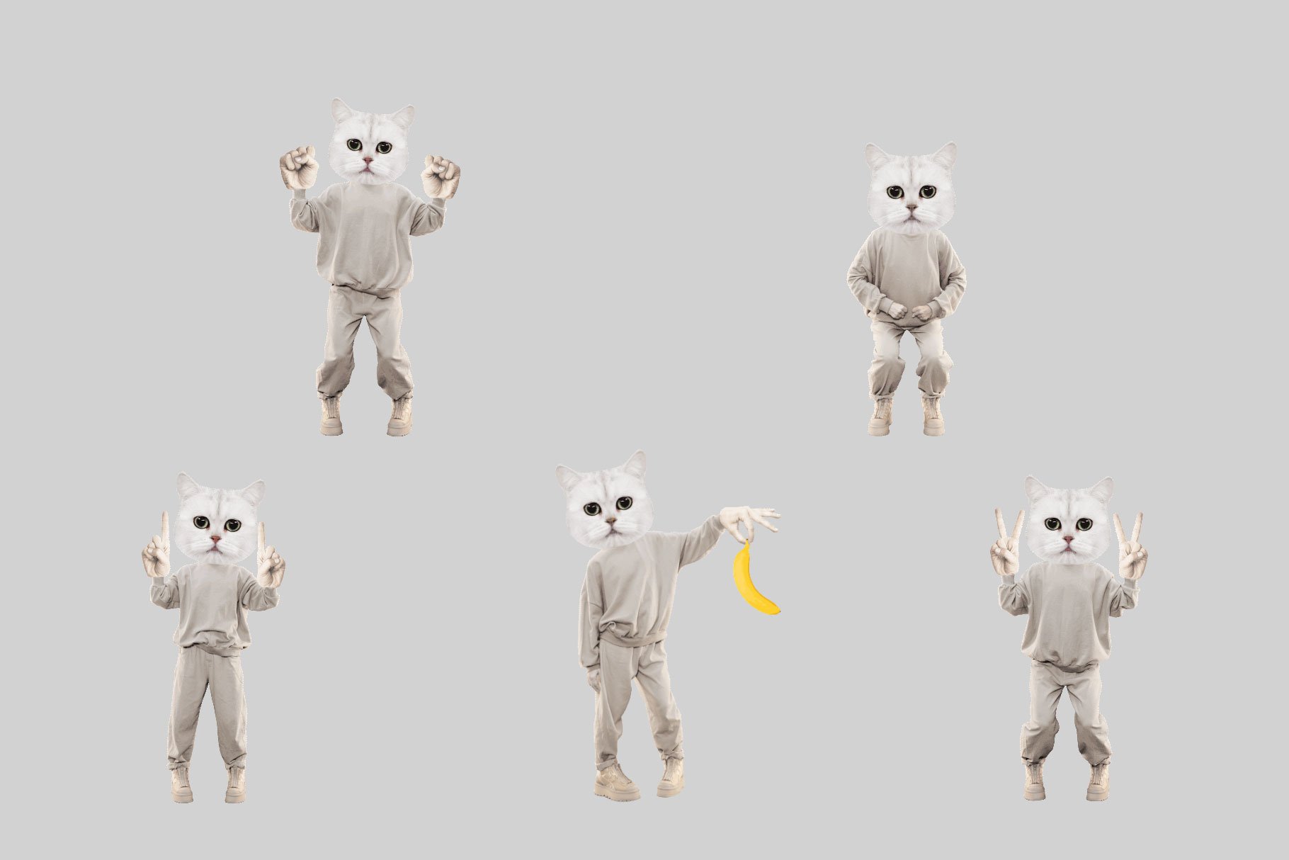 Funny gif animated Kitty power (729952) | Products | Design Bundles