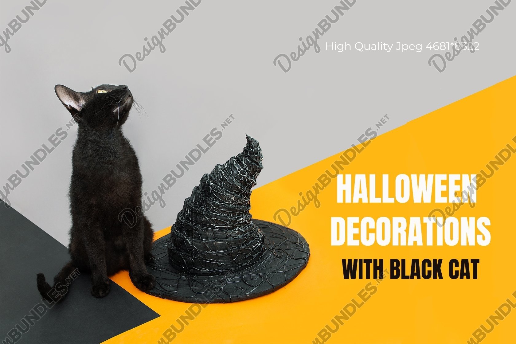 Halloween banner with black cat and witch hat (968296) | Conceptual ...