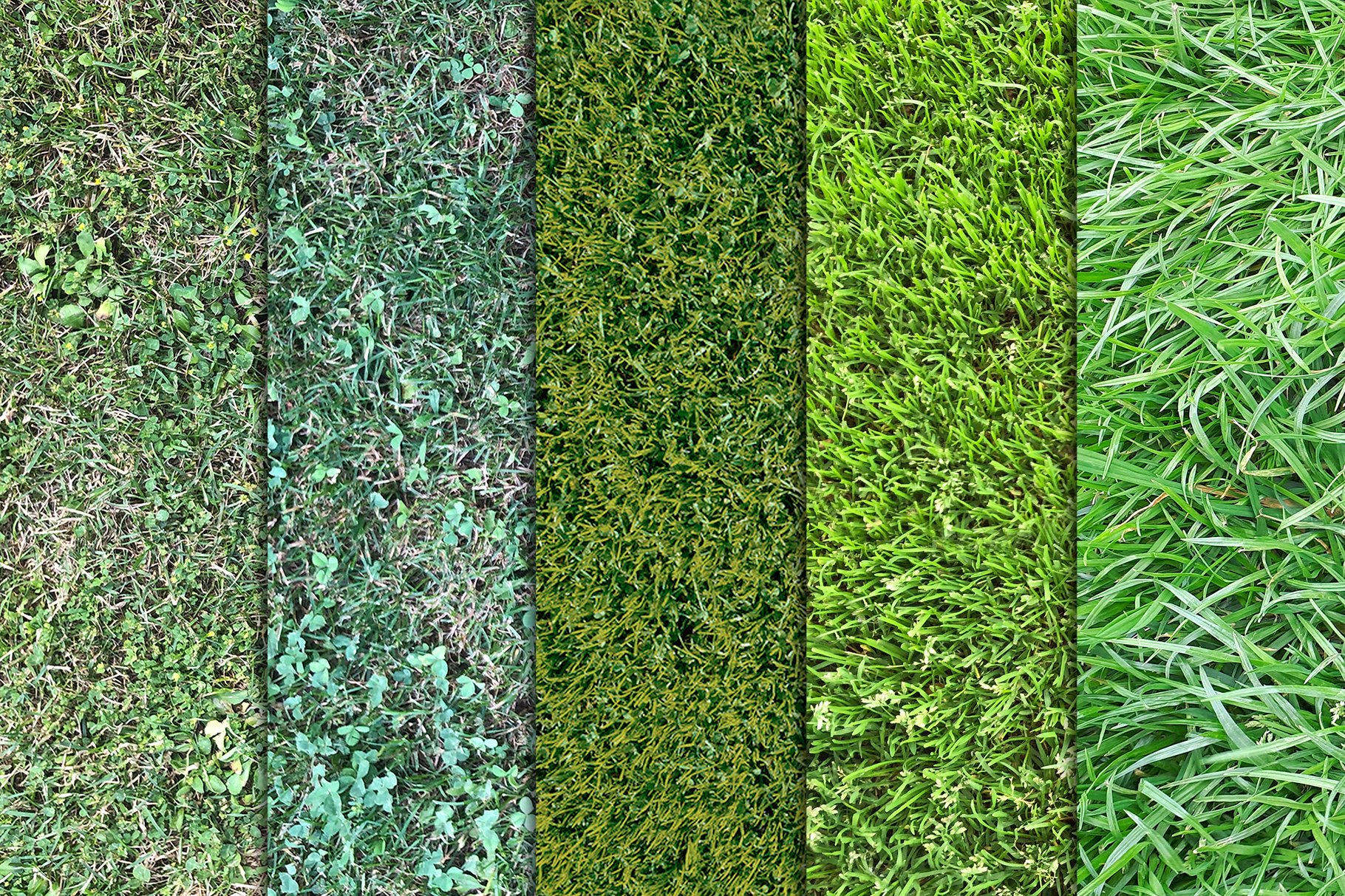 Grass Textures x10 Vol2 (288151) | Textures | Design Bundles
