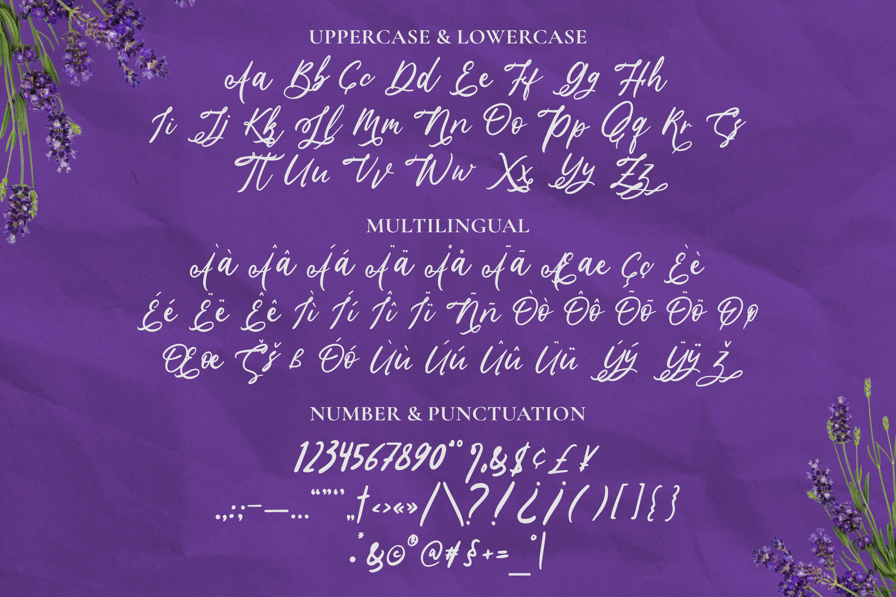 Lavender Script