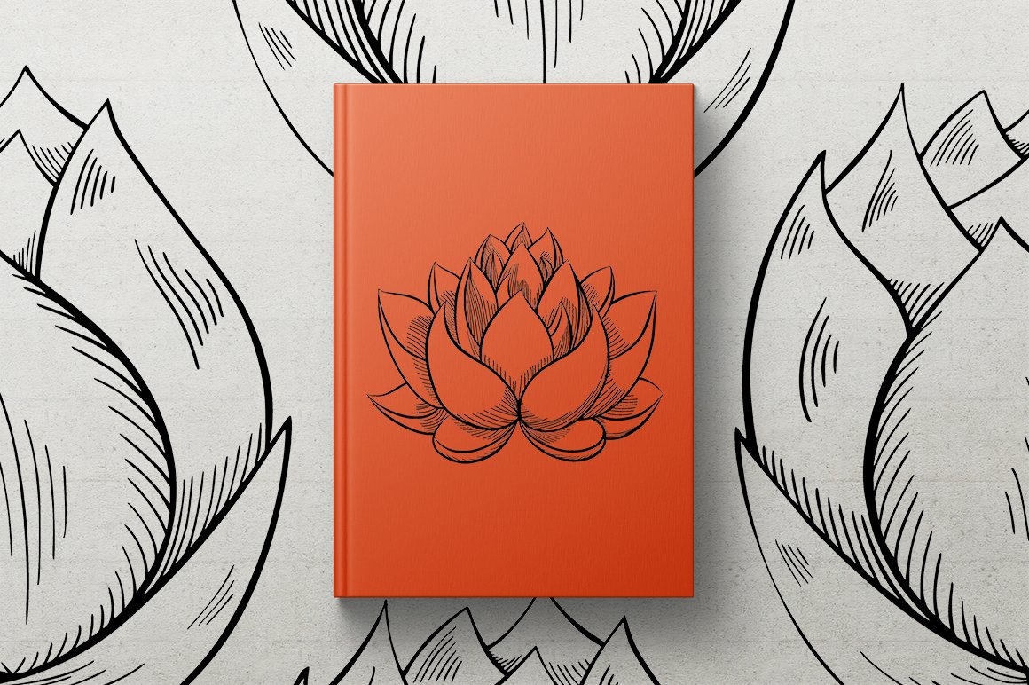 Lotus illustrations and seamless patterns Illustrations