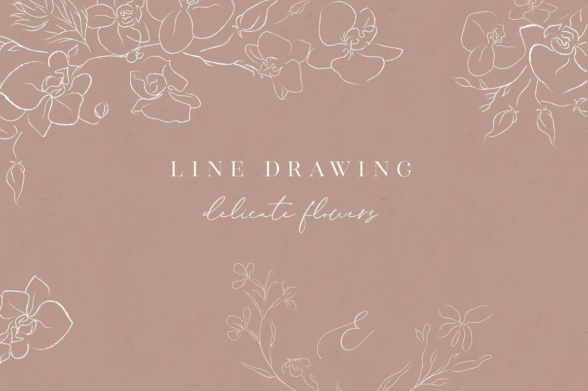 White Line clipart hand drawn fine art graphic orchid flower (721400 ...