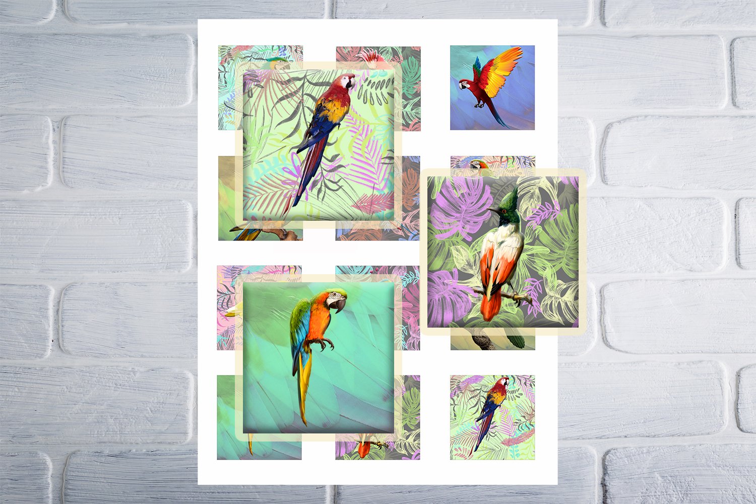Tropical Parrots,Birds,Collage Sheet,2x2,1.5x1.5,1x1inch (160624 ...