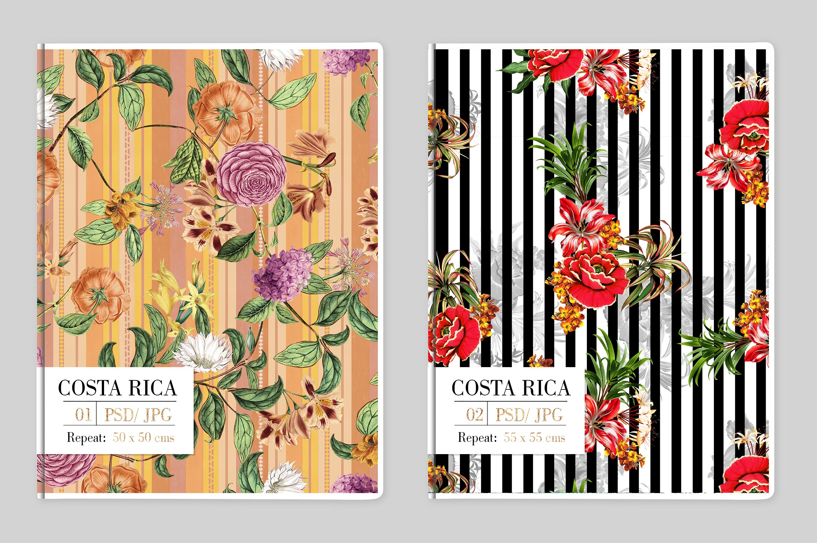 Costa Rica (539527) | Patterns | Design Bundles
