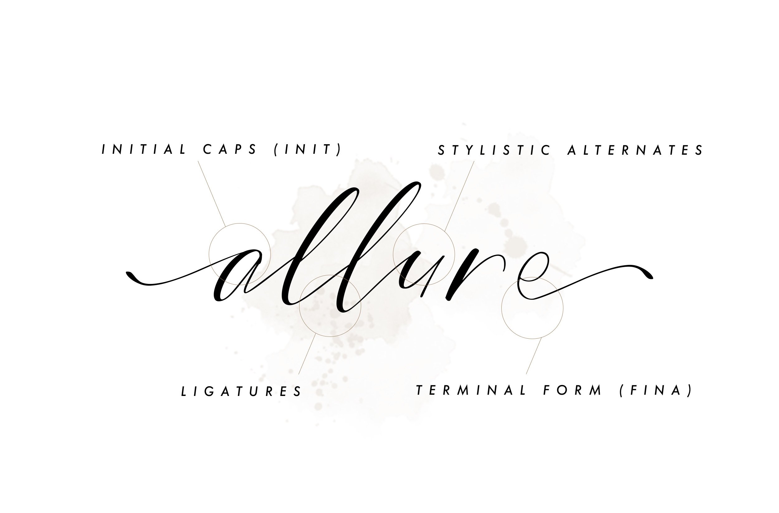 Bride Style - Modern Calligraphy (54560) | Script | Font Bundles
