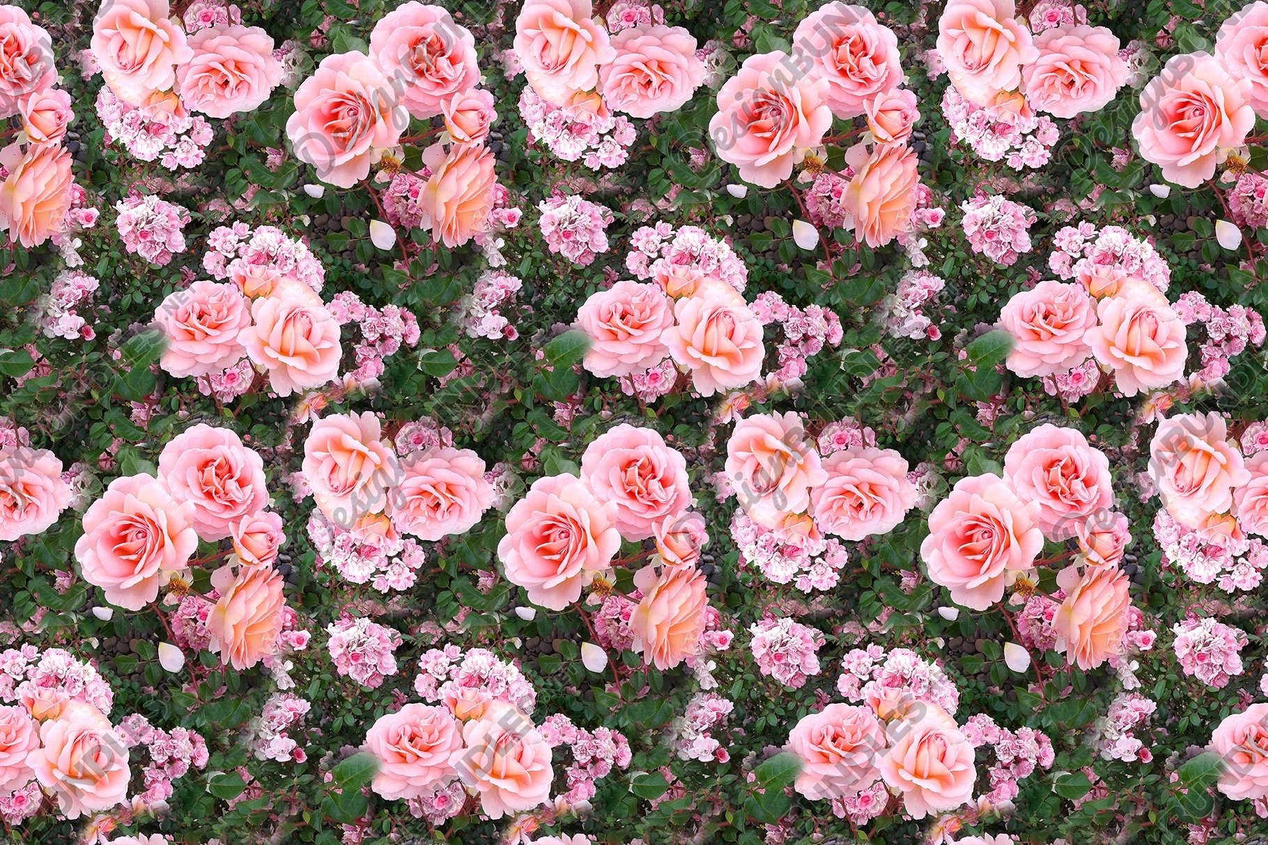 Pink rose flower garden grass summer nature seamless pattern (646520 ...