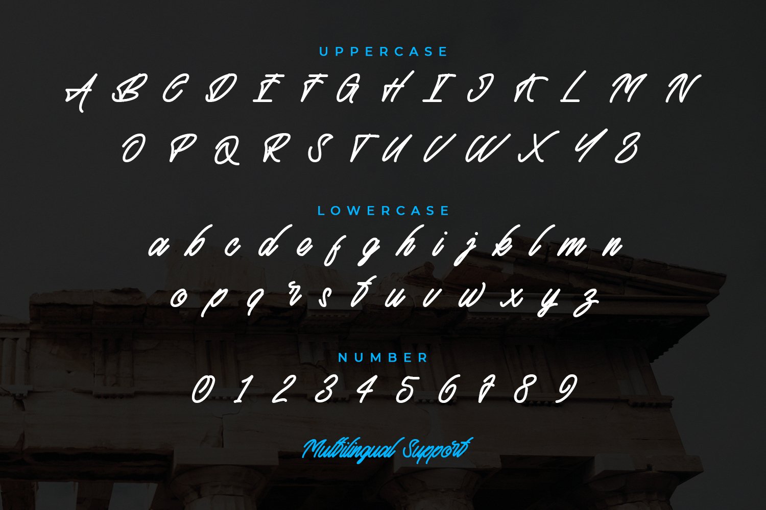 Athena Script Font (562586) | Monoline | Font Bundles