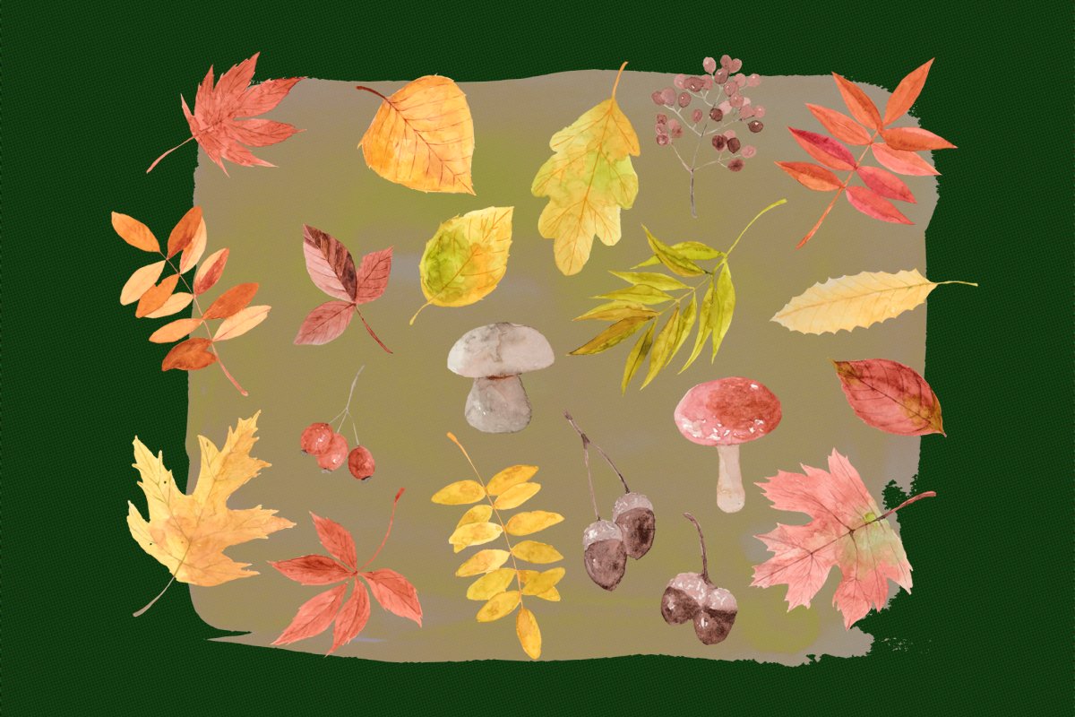 Fall Foliage Watercolor PNG Clipart Set (856318) | Elements | Design ...