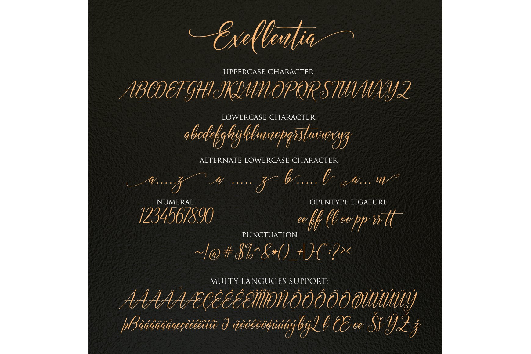 Exellentia (13476) | Script | Font Bundles