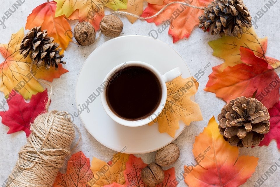 coffee cup on the autumn fall leaves and light background (1455982 ...