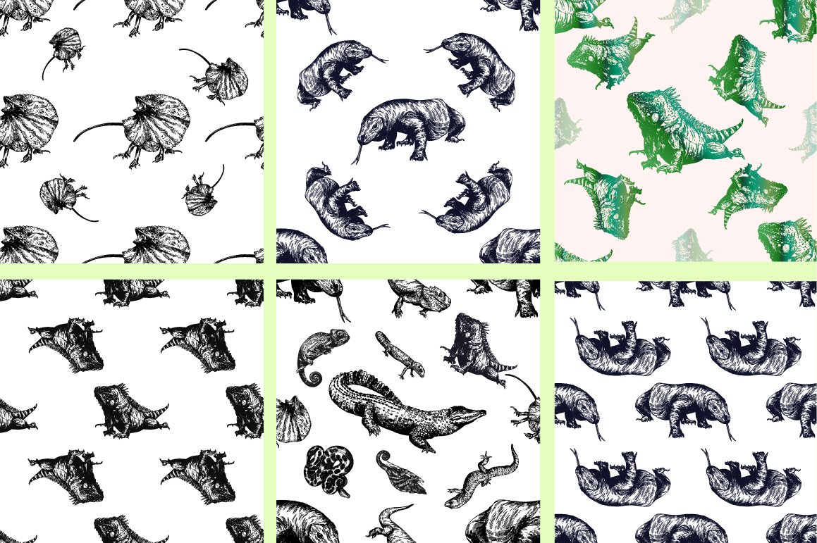 Reptiles (654724) | Illustrations | Design Bundles