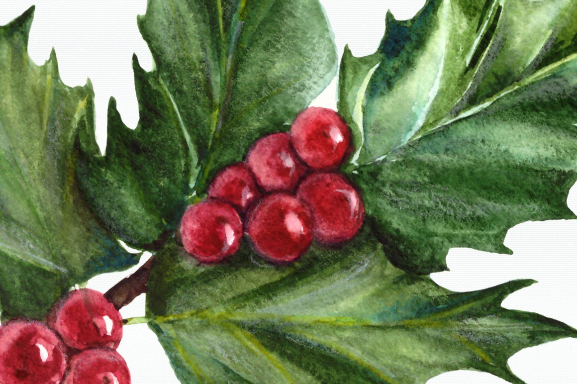 Watercolor Holly Clip Art Set (62008) | Illustrations | Design Bundles