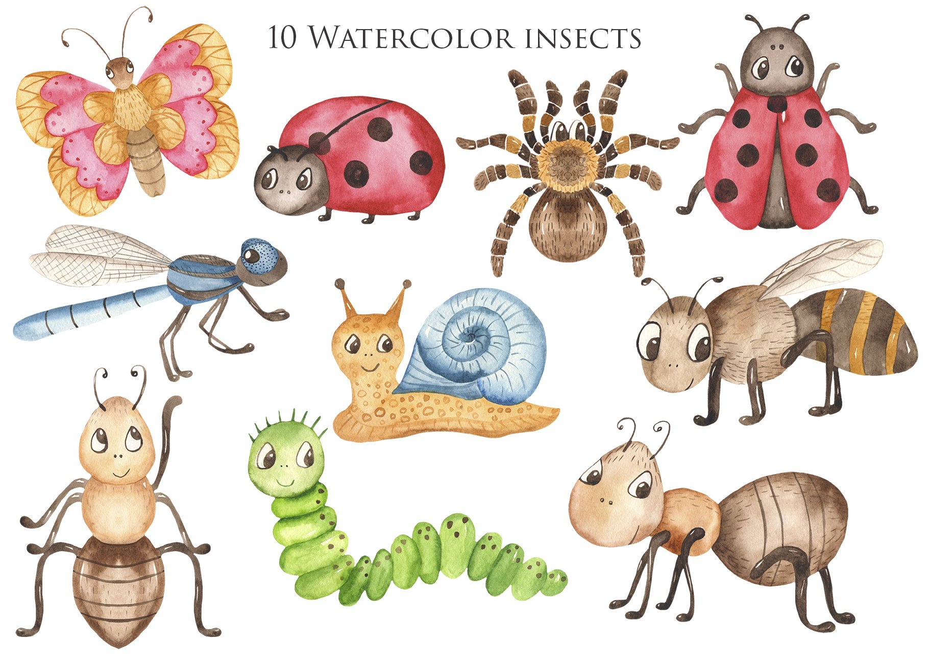 Insects Watercolor Clipart. Cards and seamless patterns (835837 ...