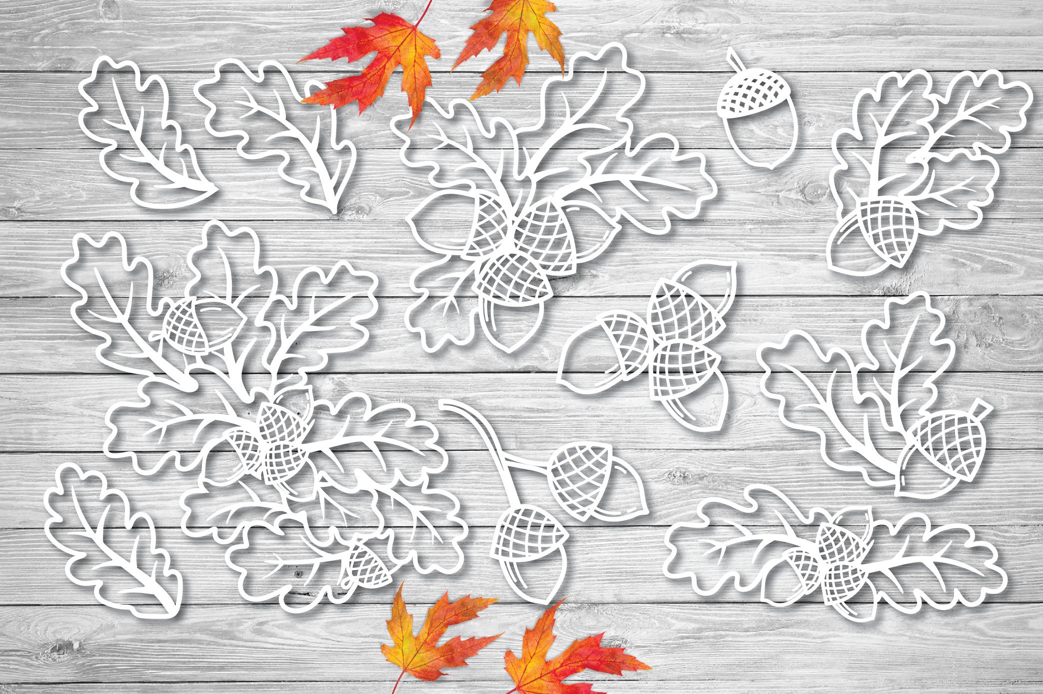 Fall SVG | Oak Leaf and Acorn Collection SVG | Cut File (829350) | Cut ...