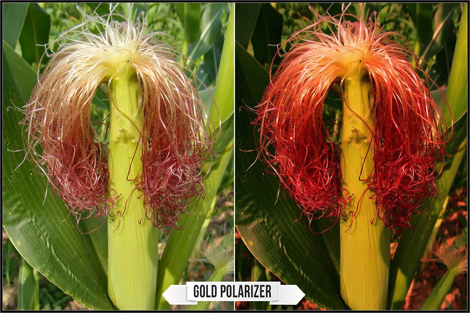 Lens ND & Polarizer Filters Profiles LR LRC ACR (154707) | Lightroom ...