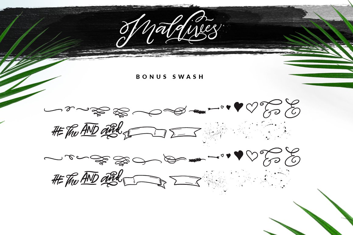 Maldives Script (23087) | Script | Font Bundles