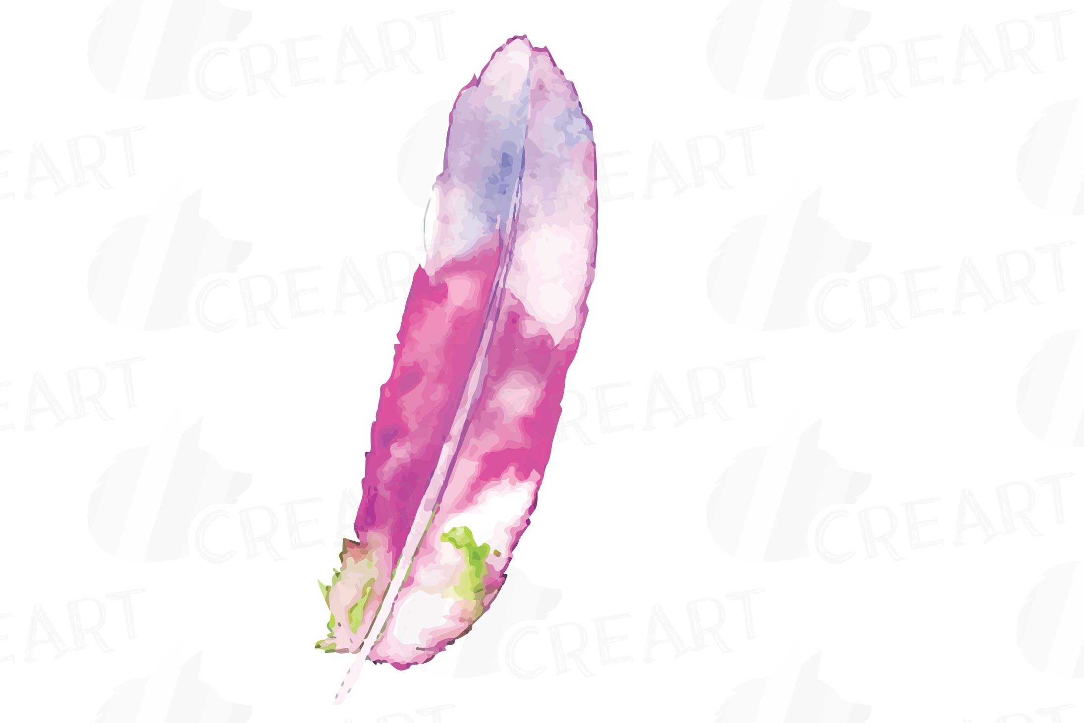 Watercolor Feathers, Colorful tribal feathers clip art pack (106959 ...