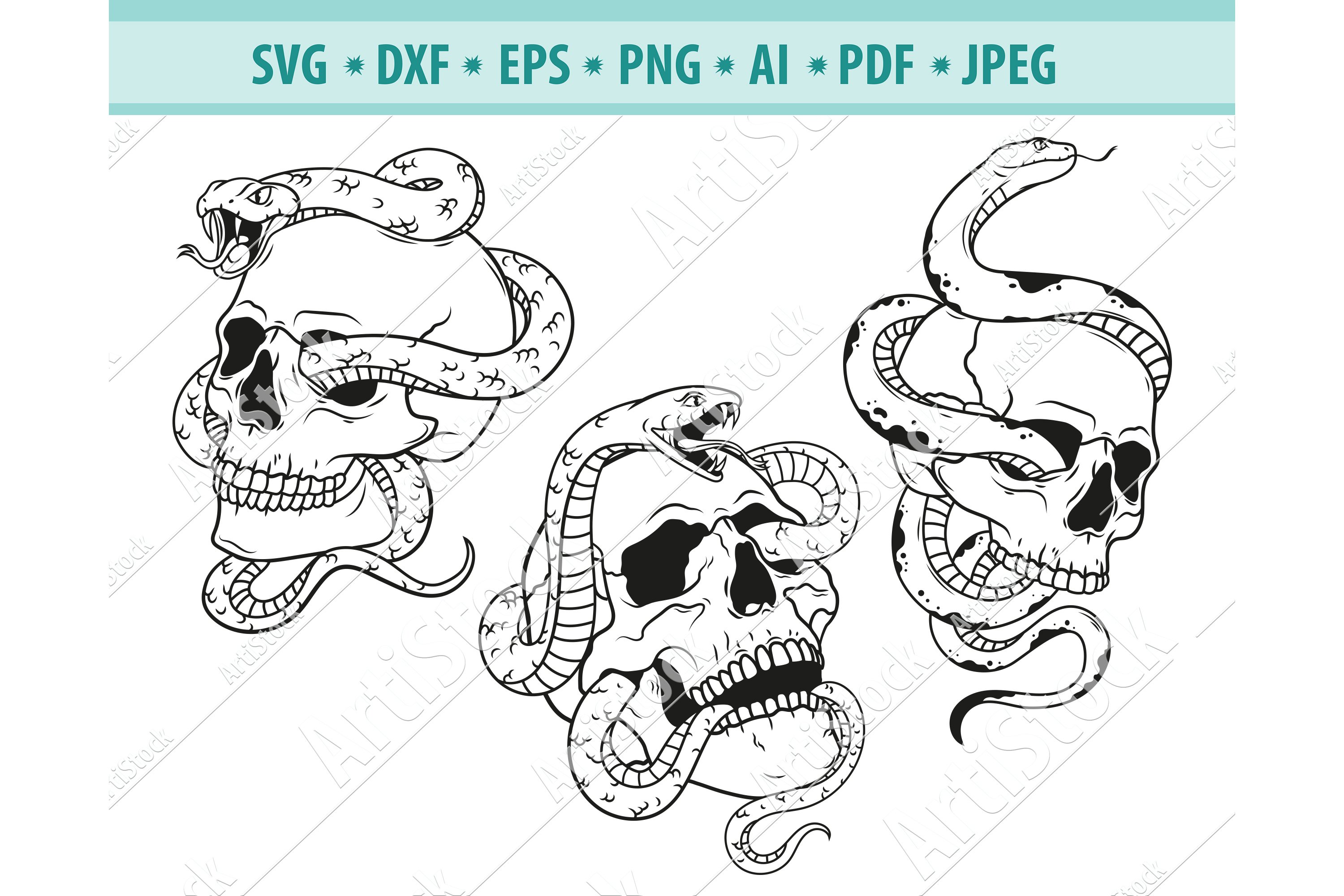 Skulls With Snake Drawings