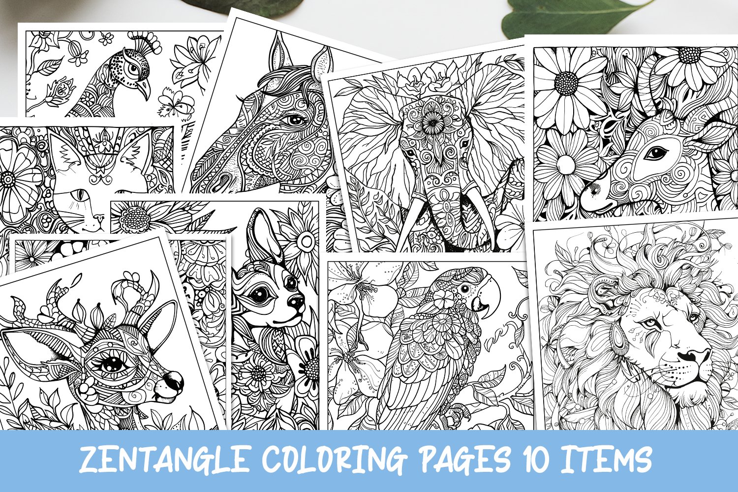 Zentangle Animal Coloring Pages 6bac