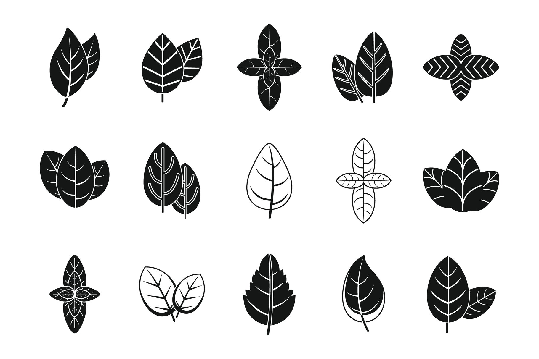 Basil Leaf Vector