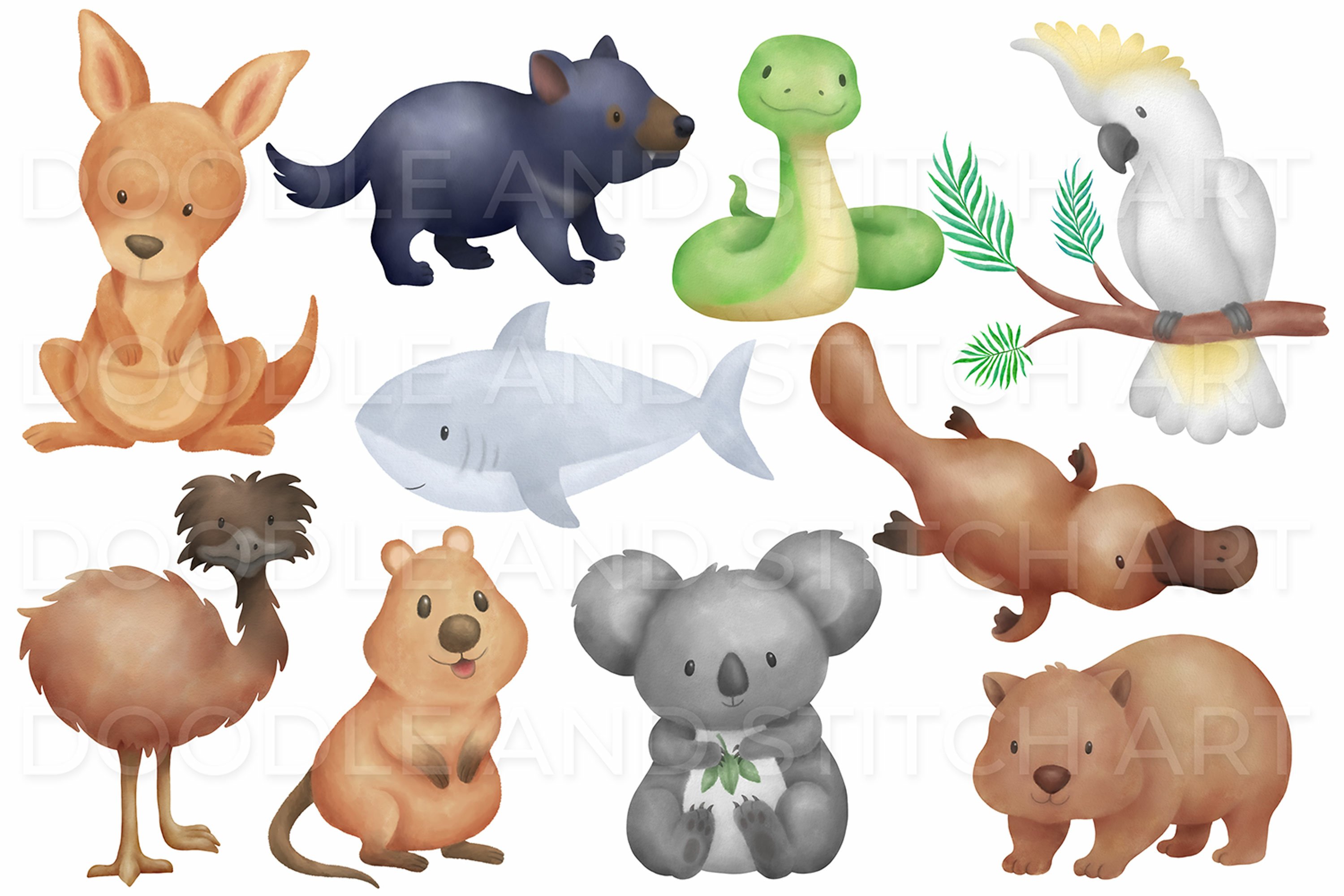 Australian Animals Clipart