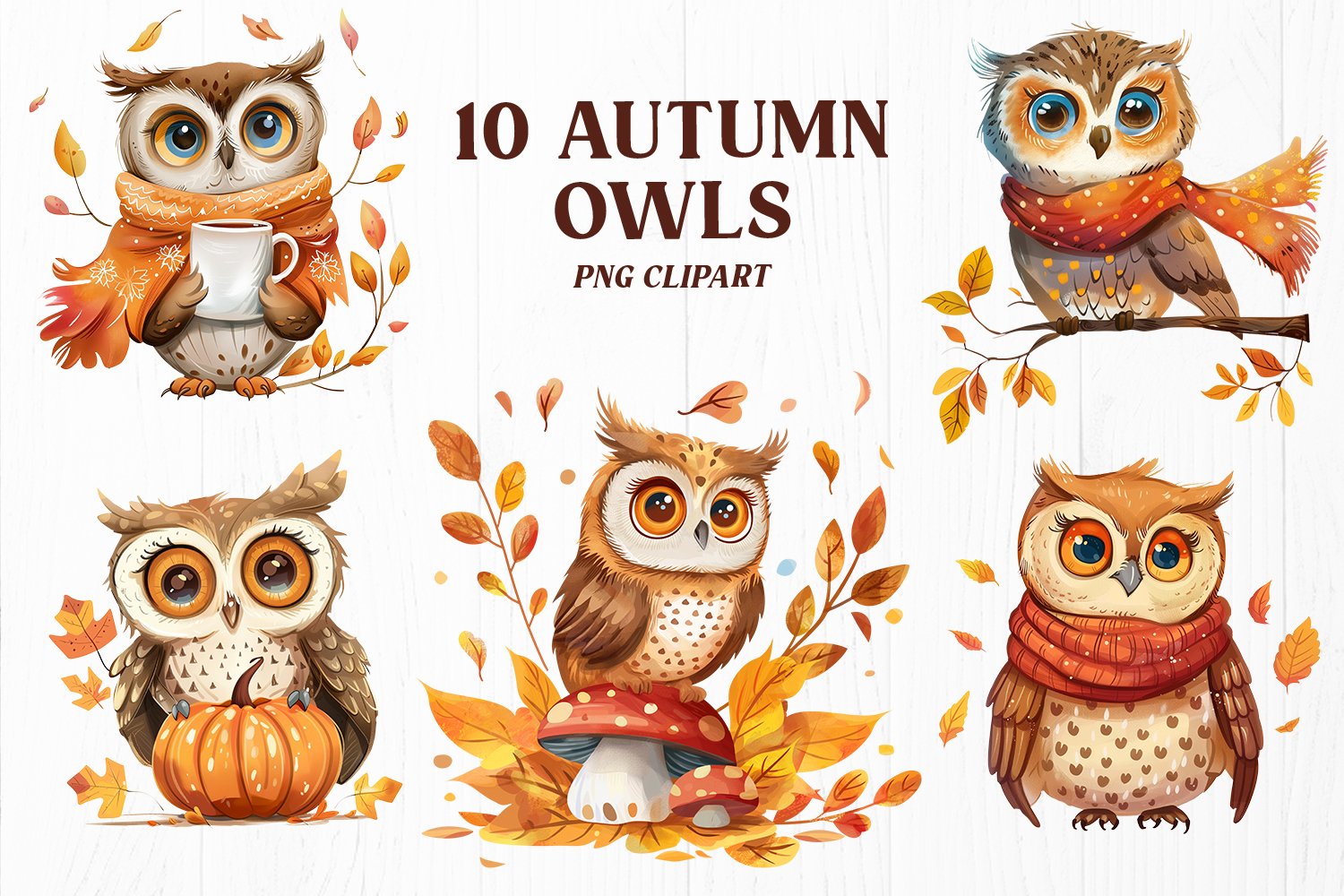 Fall Owl Clip Art Autumn Owls PNG Clipart | Cozy Fall Owl Bird