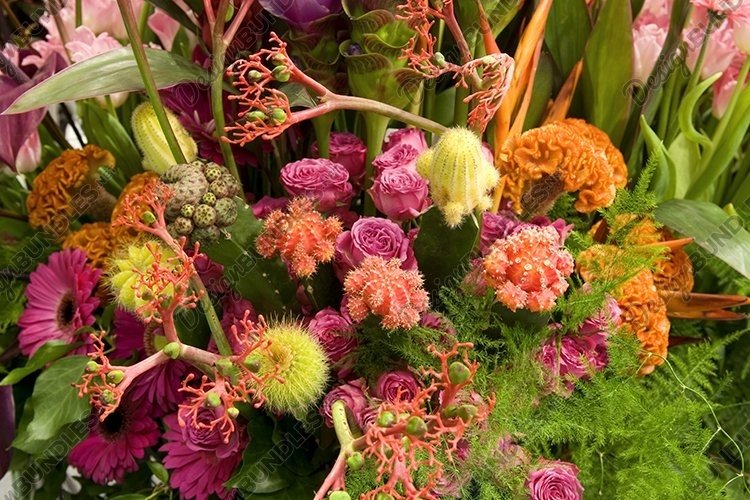 Exotic flowers (833522) | Nature | Design Bundles