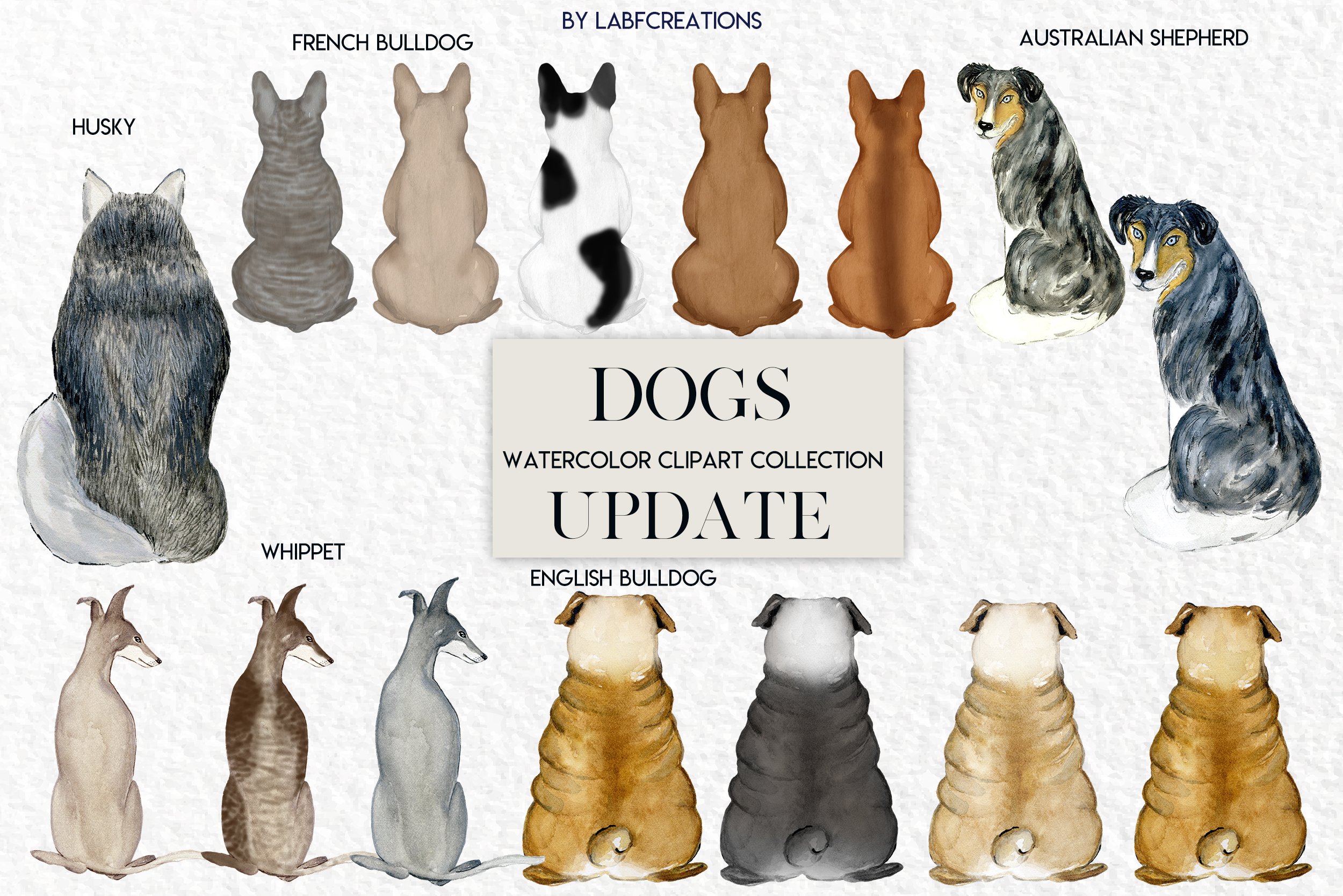 Dogs watercolor clip art, accessories for dogs, backs of dog (432358 ...