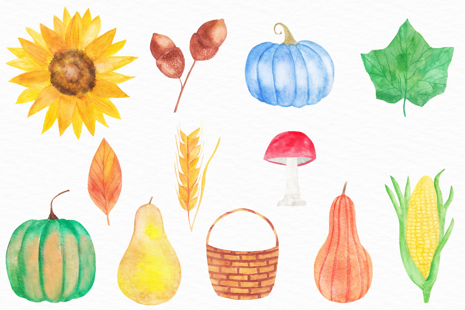 Watercolor Autumn Illustrations, Fall Illustrations (732424 ...