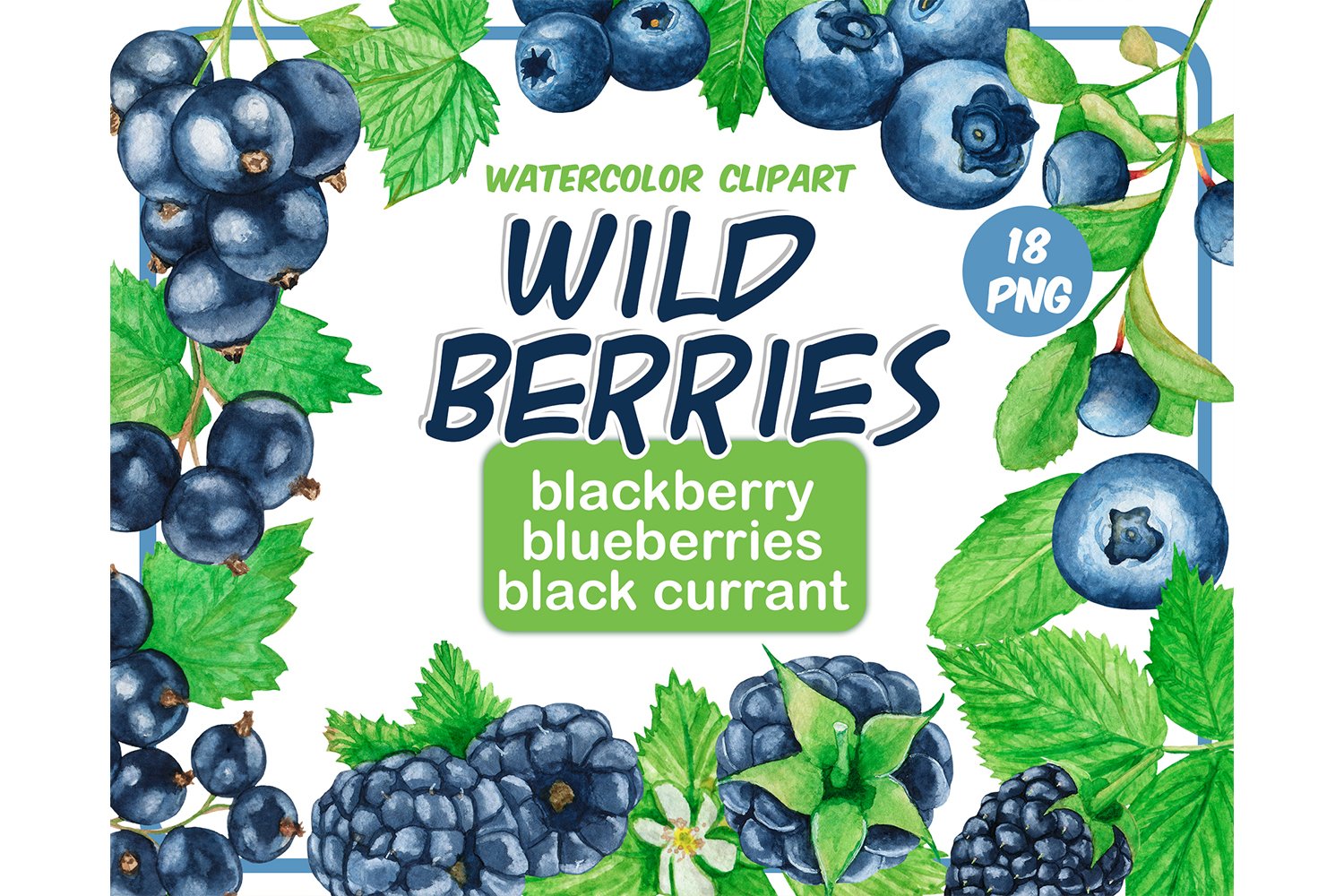 Wild Berries Clip Art