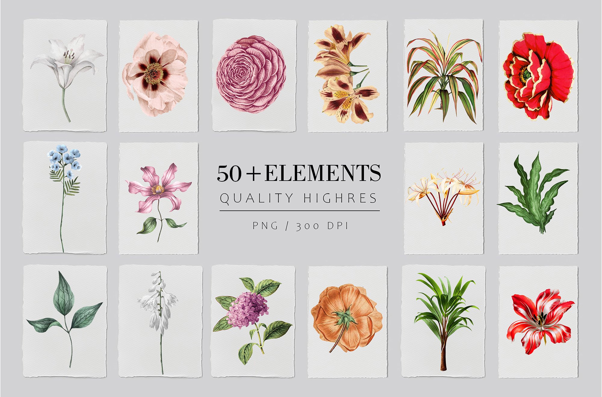 Costa Rica (539527) | Patterns | Design Bundles