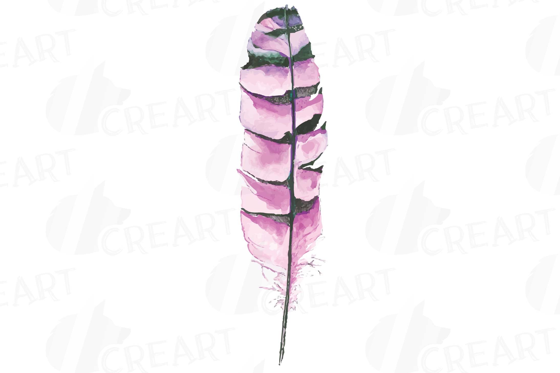 Watercolor Feathers, Colorful tribal feathers clip art pack (106959 ...