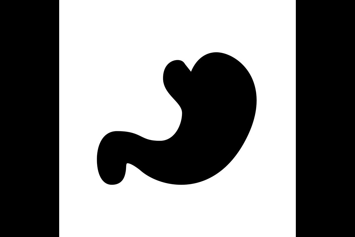 stomach symbol line flat icon, Vector Illustration (853644) | Icons ...