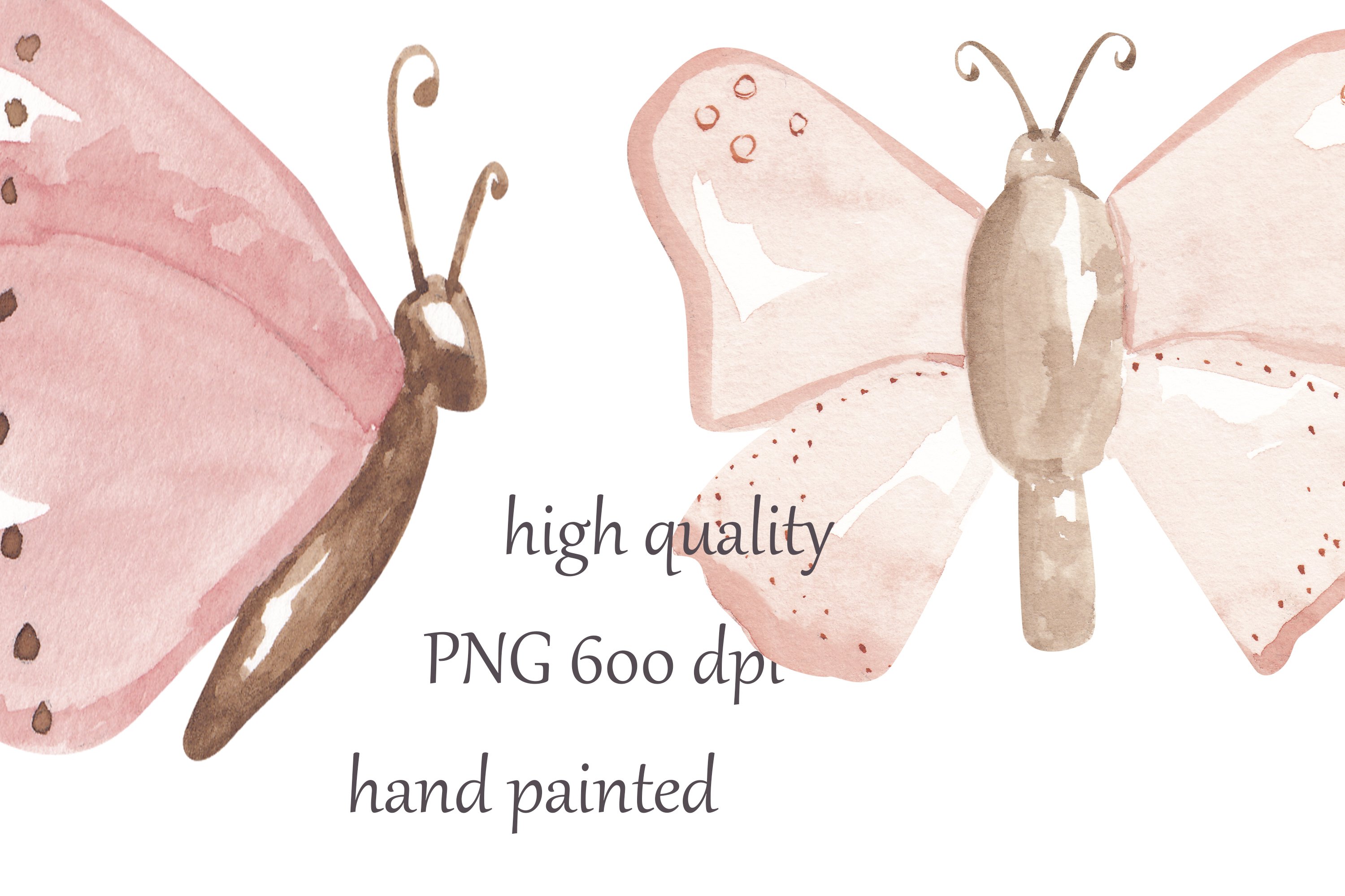Watercolor butterfly clipart, pastel delicate butterfly (1203293 ...
