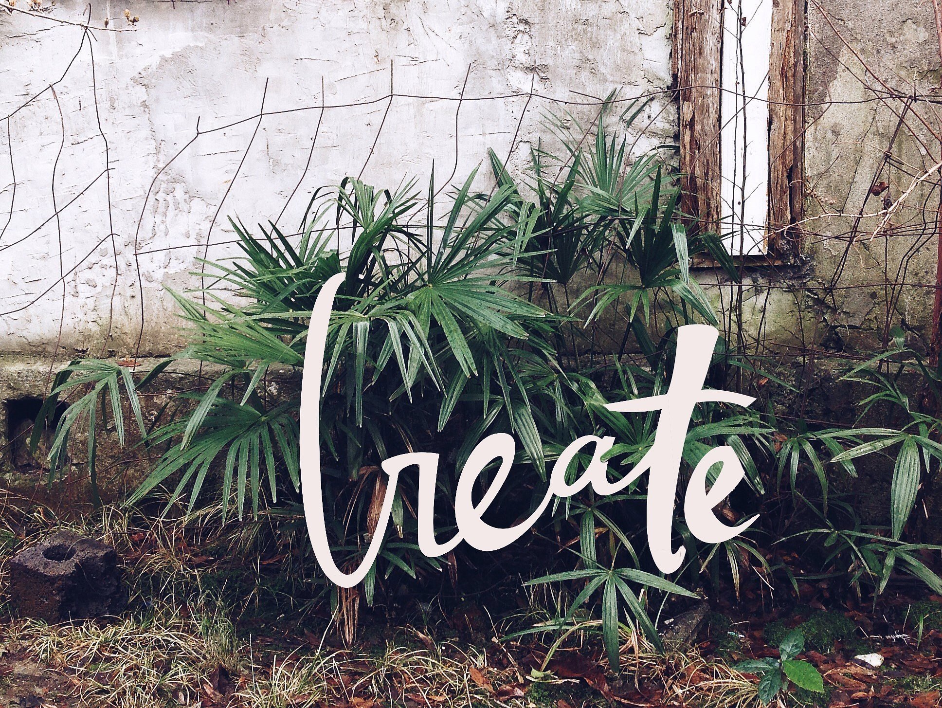 Lettering diy pack (24049) | Illustrations | Design Bundles