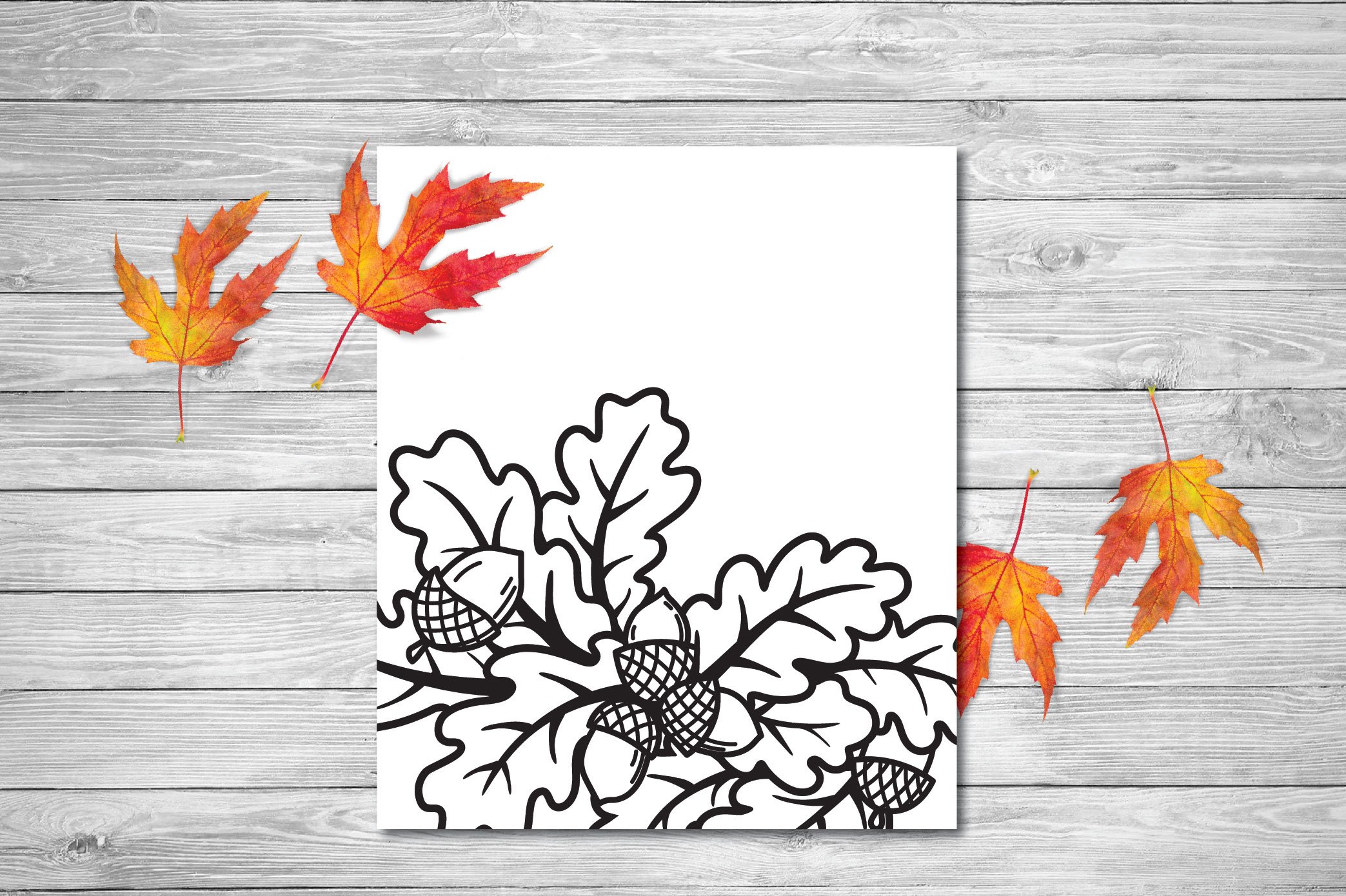 Fall SVG | Oak Leaf and Acorn Collection SVG | Cut File (829350) | Cut ...