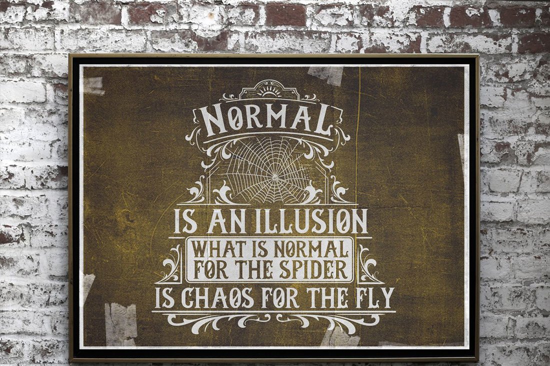 Normal is an Illusion (285398) | Illustrations | Design Bundles