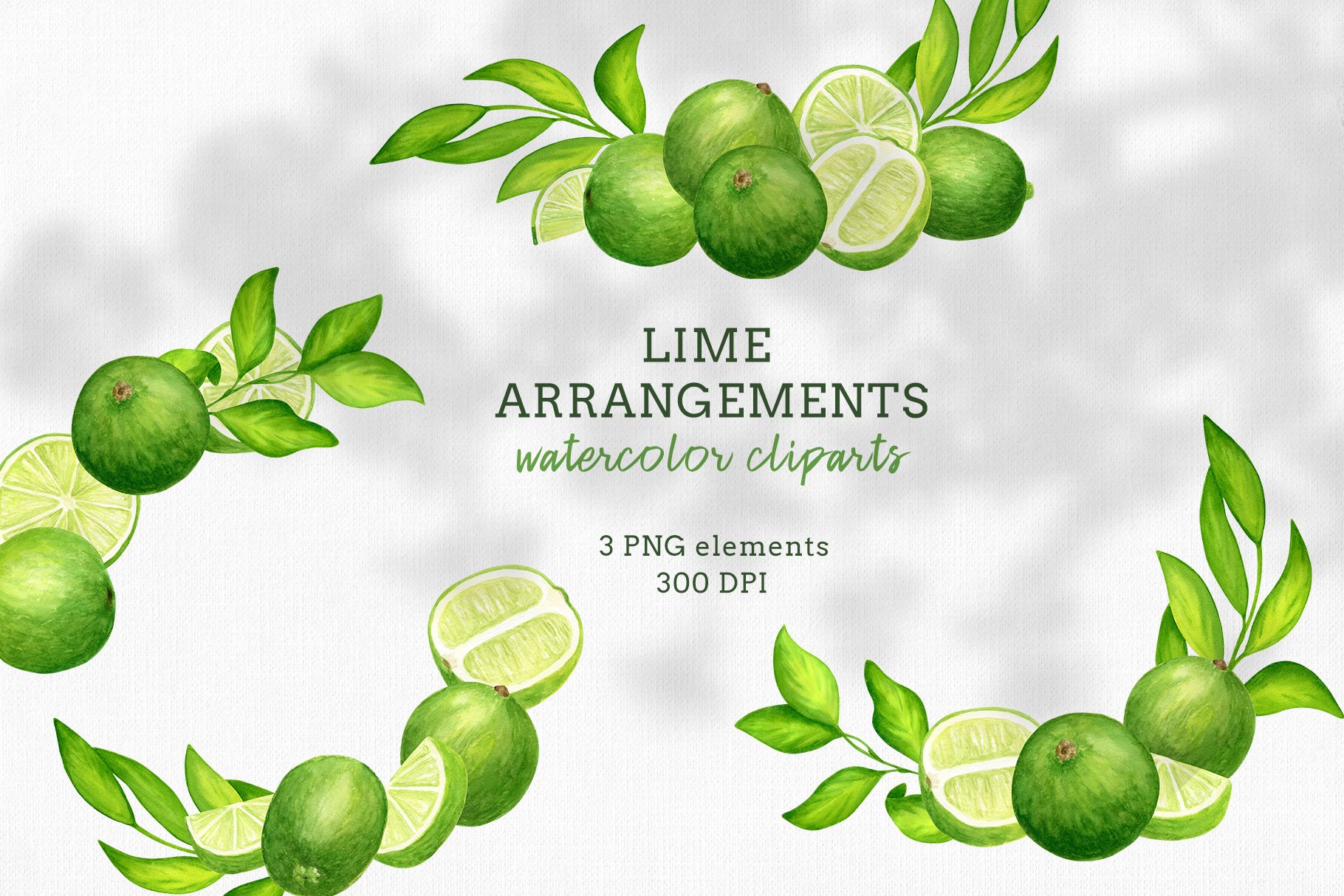 Watercolor Lime Arrangements clip art set (1024143) | Illustrations ...