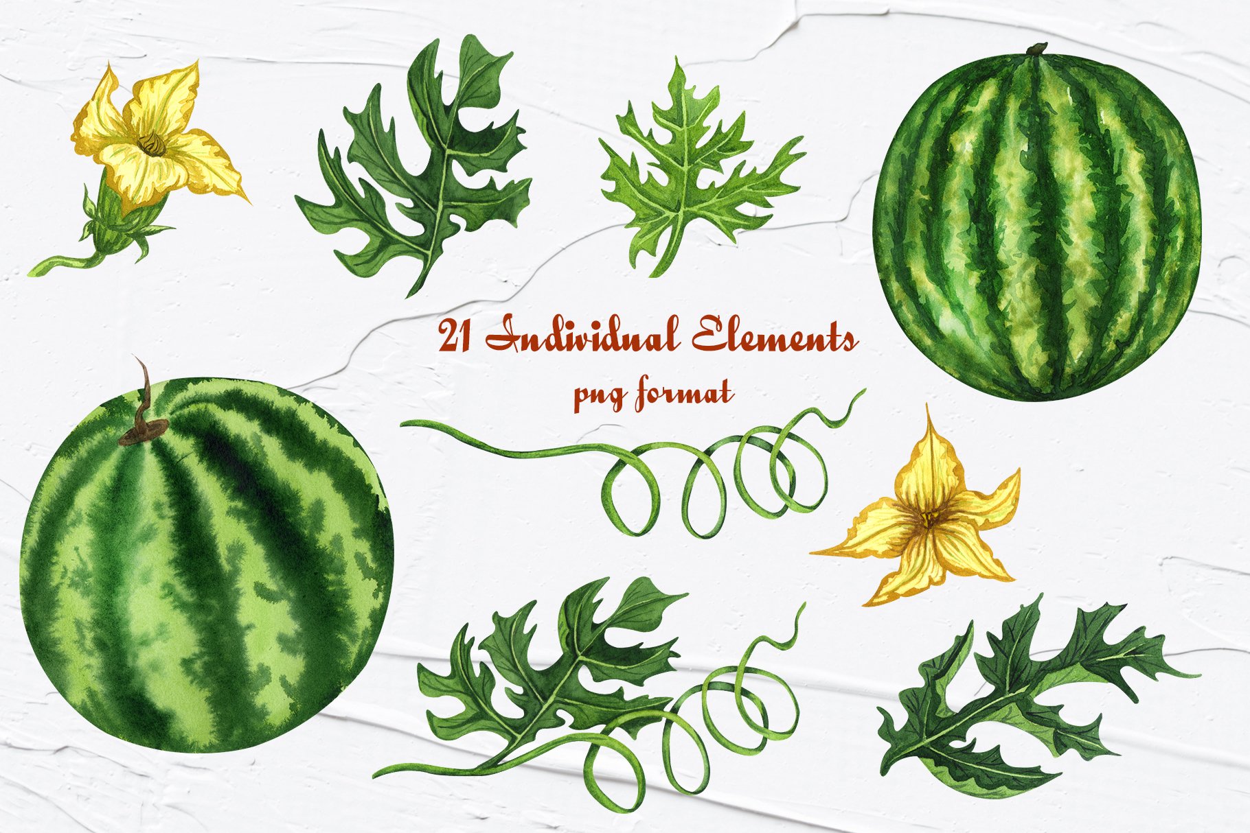 Watermelon Watercolor Clip Art 600dpi (701910) | Elements | Design Bundles