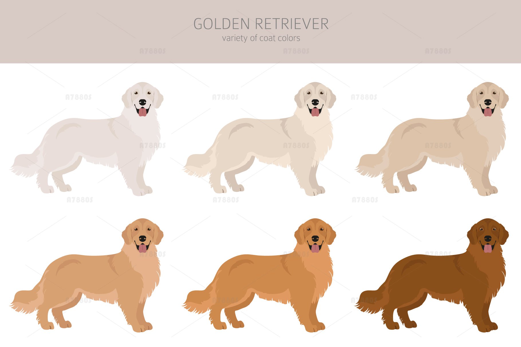 Golden retriever clipart (1137828) | Illustrations | Design Bundles