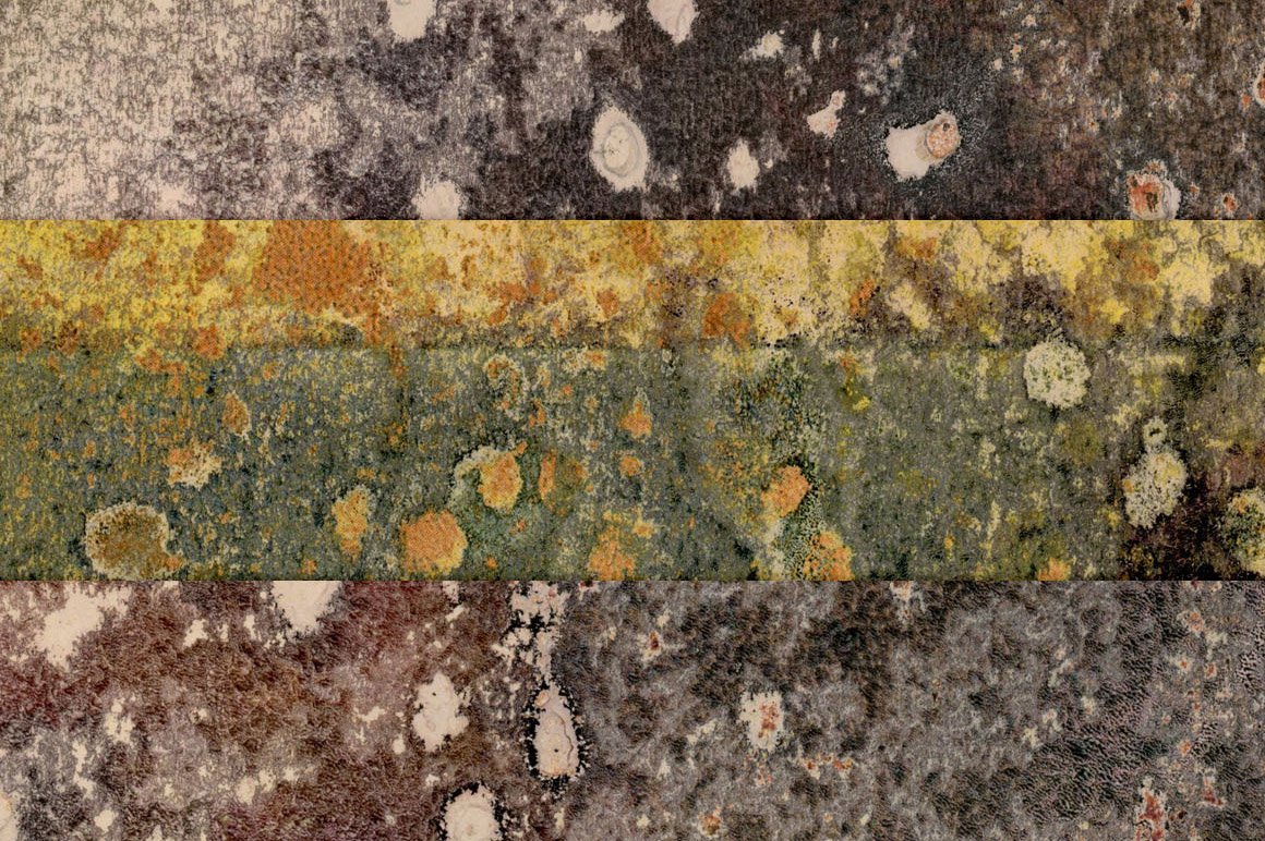 Citra Textures (517610) | Textures | Design Bundles