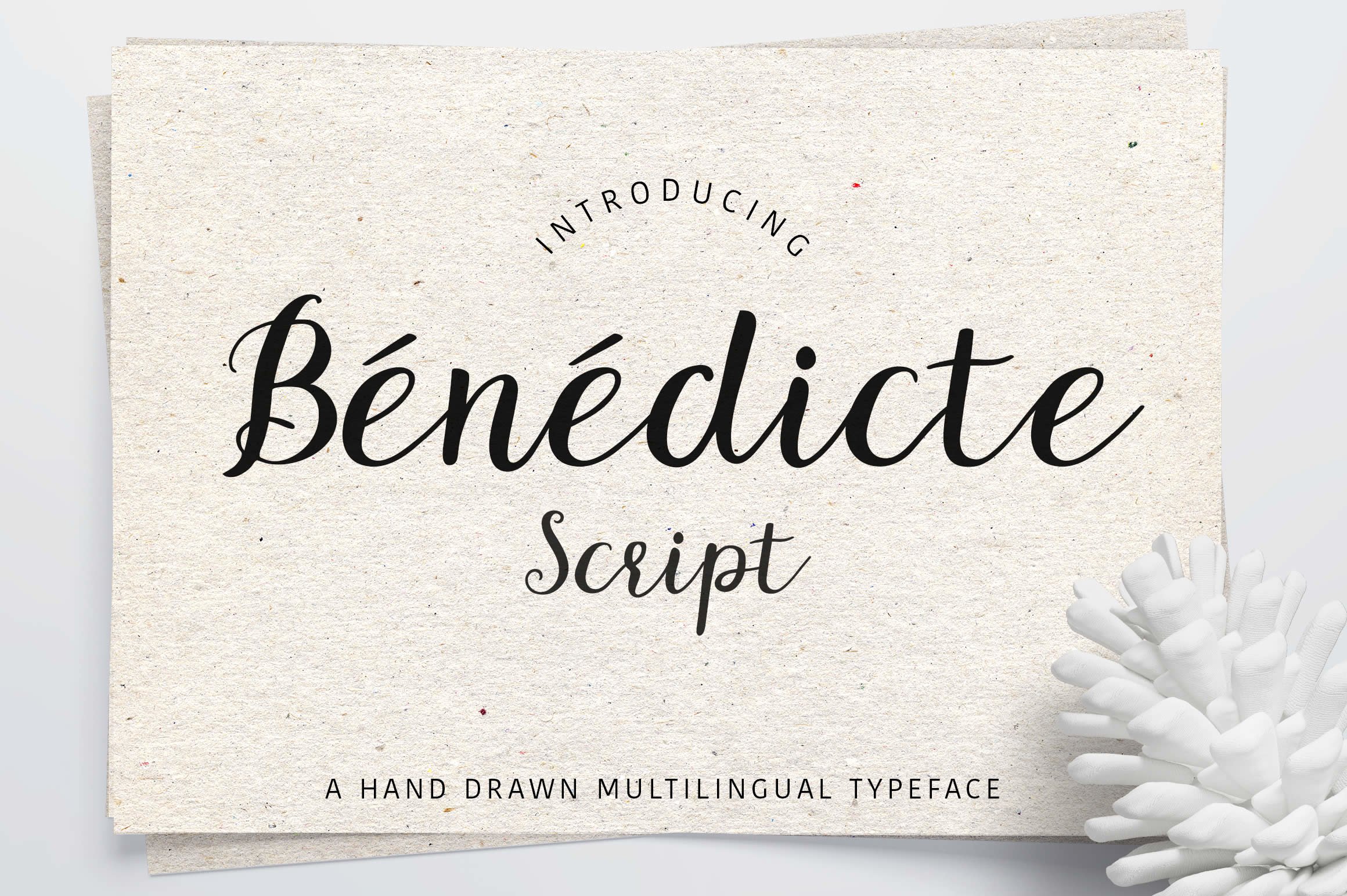 Benedicte Script (11358) | Calligraphy | Font Bundles