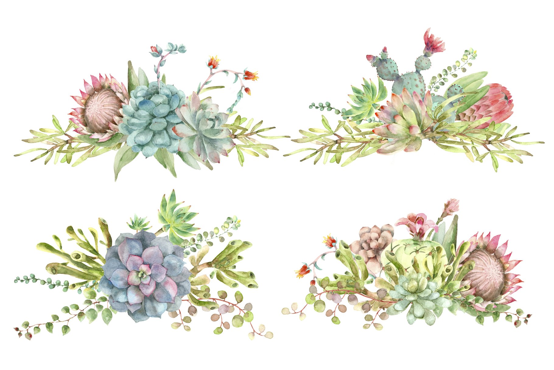 Succulent Watercolor Collection (429649) | Illustrations | Design Bundles