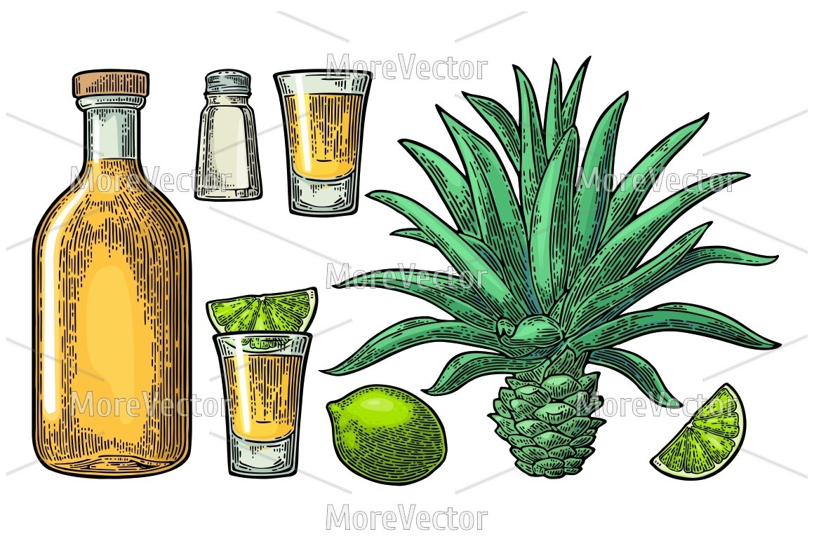 Illustration, pattern and posters Tequila with engraving. (41783 ...
