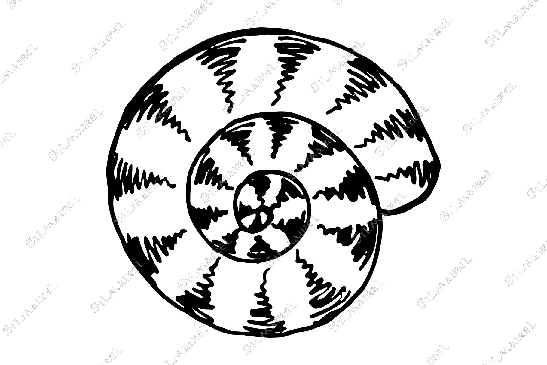 Monochrome sea shell sketched line art vector (920833) | Illustrations ...