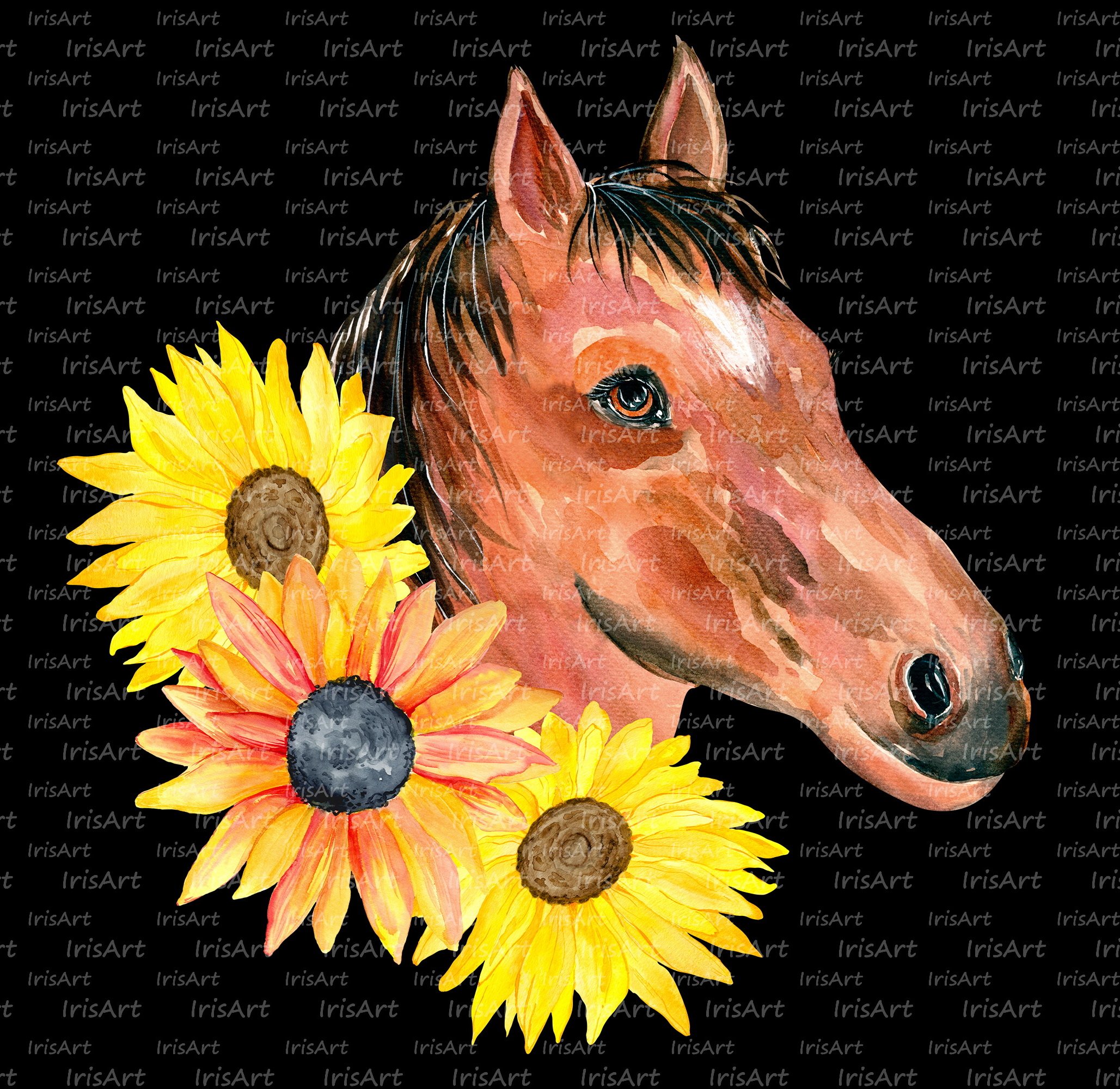 Watercolor Horse & Sunflowers Sublimation Design (919520 ...