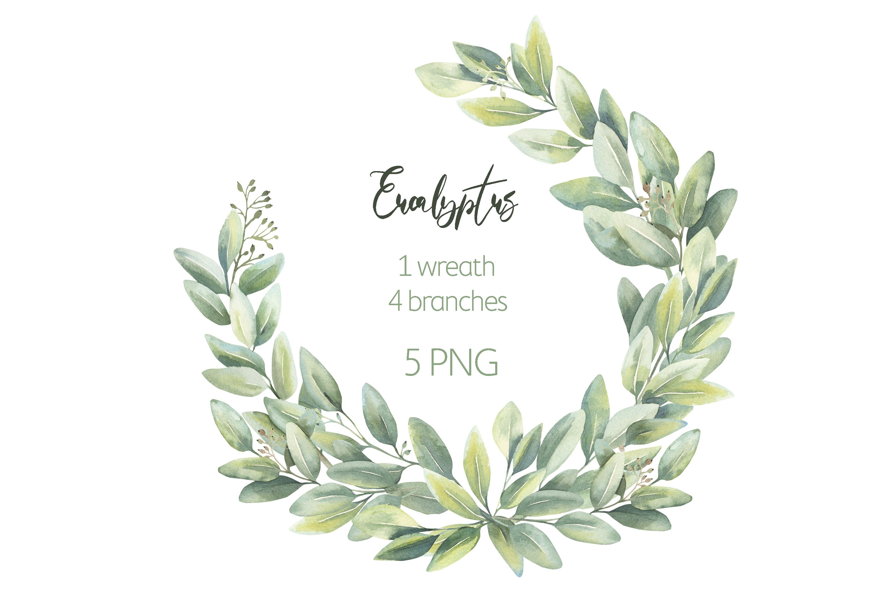 Watercolor Eucalyptus Wreath Clipart. (1081222) | Decorations | Design ...